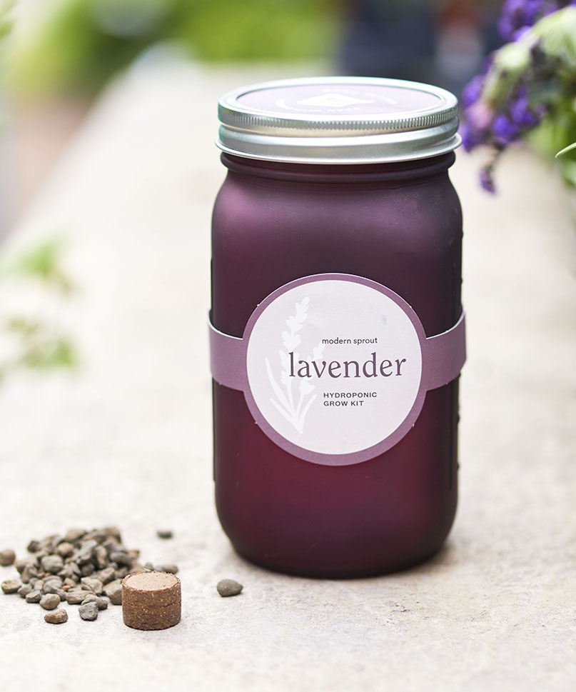 Modern Sprout Lavender Hydroponic Grow Kit - Longwood Gardens