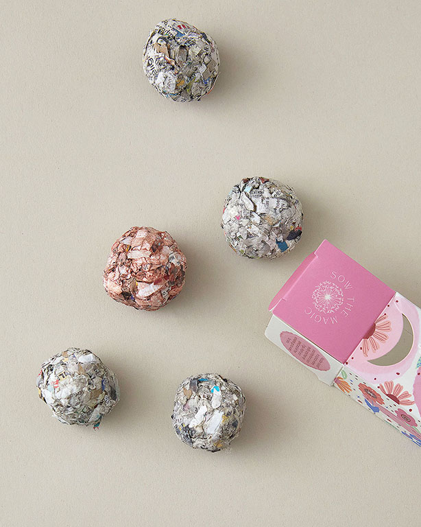 Moon Phase Pollinator Seed Bombs - Longwood Gardens