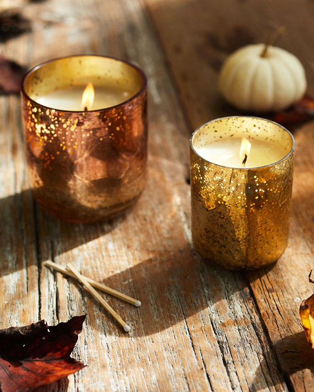Cassia Clove Candle 9 oz. Lit Duo - Longwood Gardens