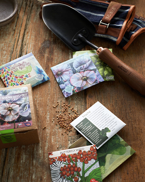 Sow In The Snow Seed Set - Longwood Gardens