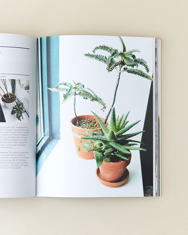 The New Plant Parent - Longwood Gardens