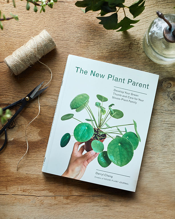 The New Plant Parent - Longwood Gardens