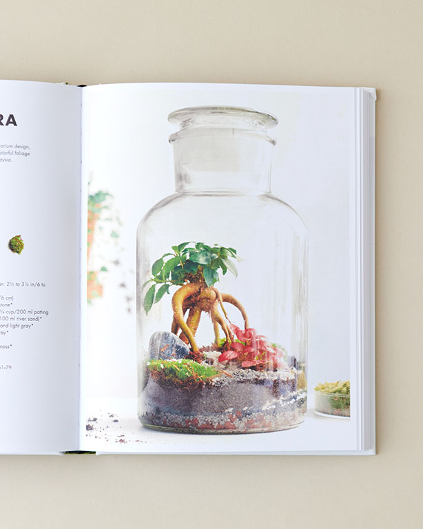 Terrarium: 33 Glass Gardens - Longwood Gardens