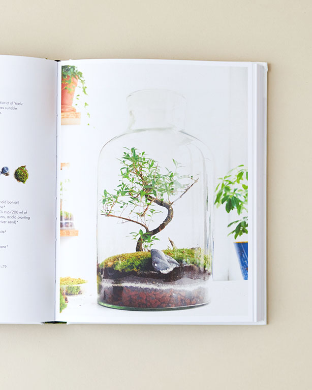 Terrarium: 33 Glass Gardens - Longwood Gardens