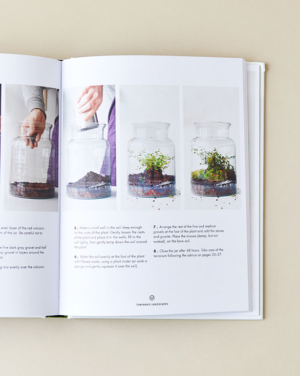 Terrarium: 33 Glass Gardens - Longwood Gardens