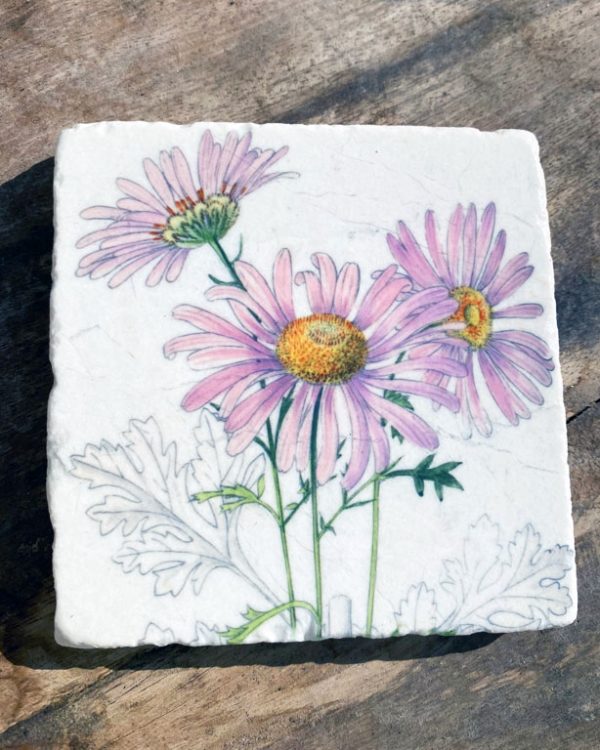Botanical Coasters - Longwood Gardens