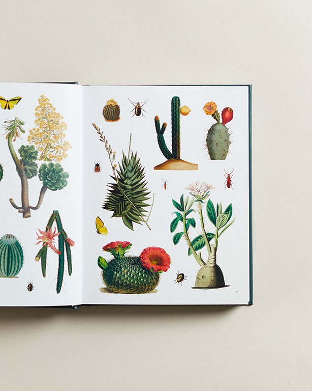 Botanist Sticker Anthoolgy (2) - Longwood Gardens