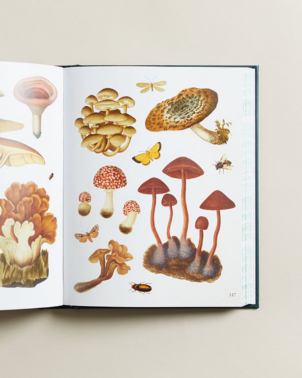 The Botanist’s Sticker Anthology - Longwood Gardens