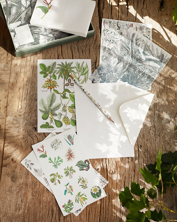 Writing Set Botanical (4) - Longwood Gardens