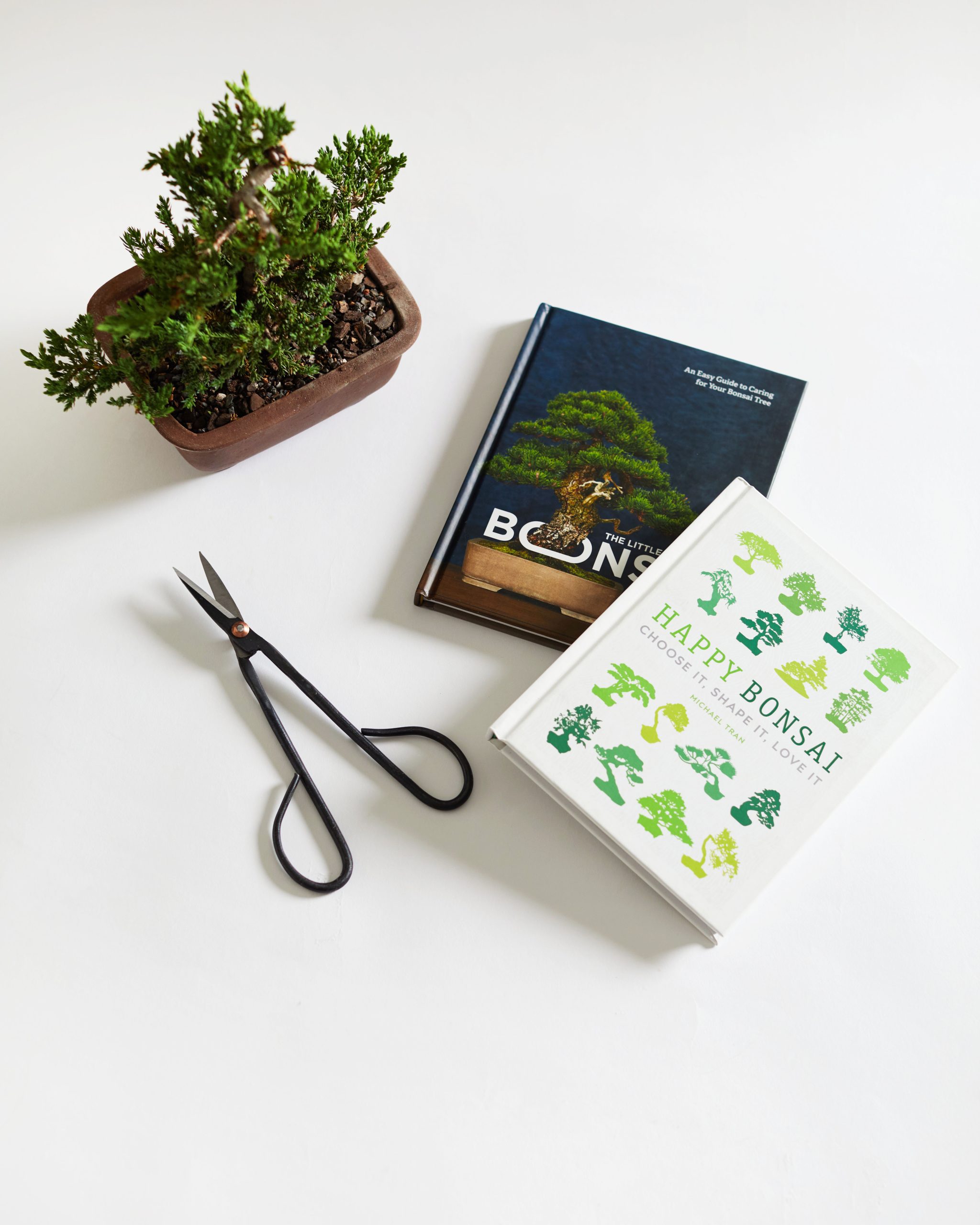 Happy Bonsai - Longwood Gardens