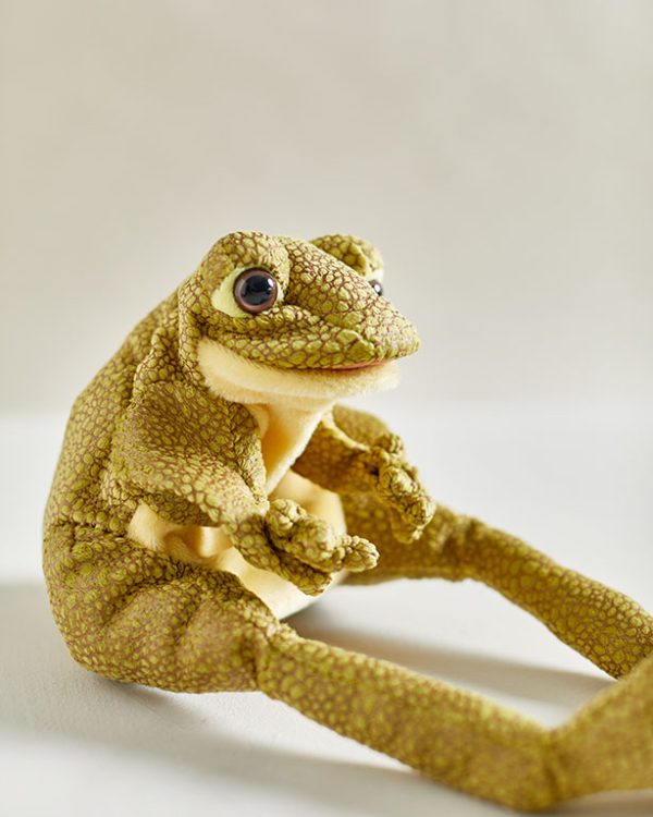 Frog Puppet - Longwood Gardens