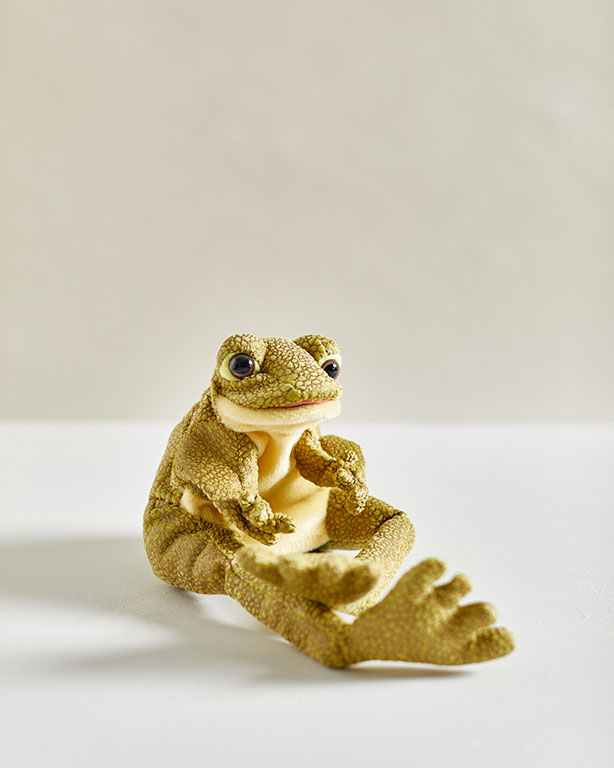 Frog Puppet - Longwood Gardens