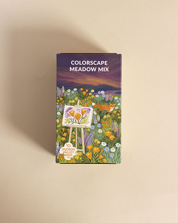 Colorscape Meadow Mix - Longwood Gardens