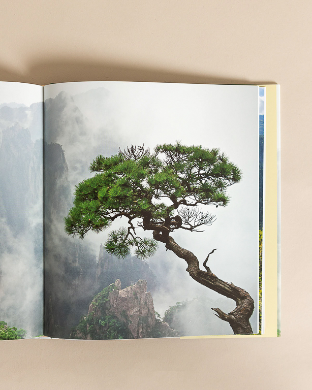 The Hidden Life of Trees - Longwood Gardens