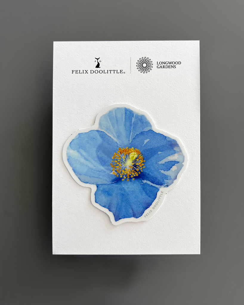 804521 Felix Doolittle Blue Poppy Products Fenton Steve 5 Doolittle ...