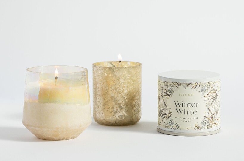 826968 Holiday Gift Guide 2025 Longwood Gardens